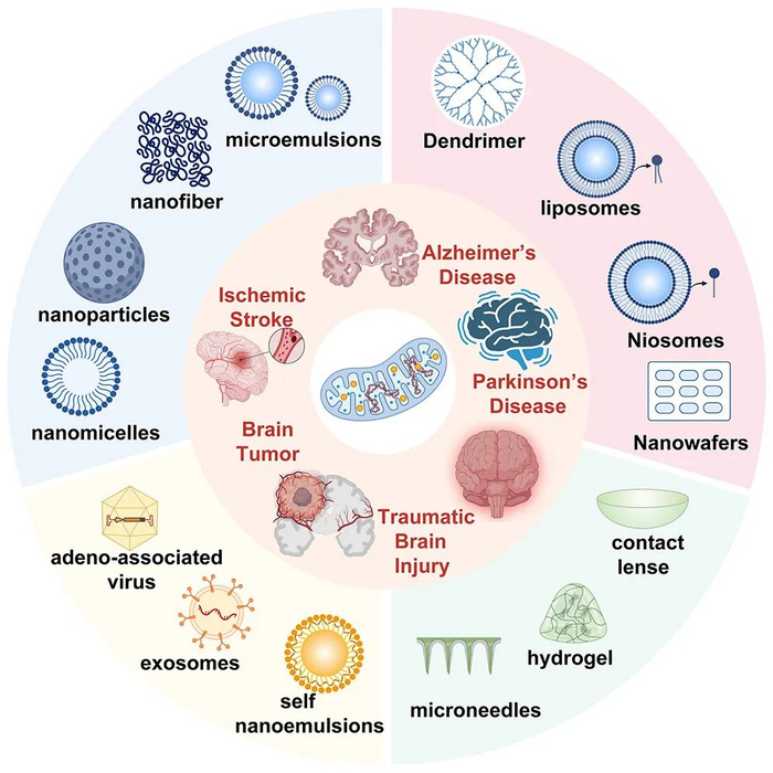 Cell Biomaterials：北京大学林志强/张强团队全面综述脑病中的线粒体——从分子结构机制到靶向治疗|林志强|张强|北京大学_新浪新闻