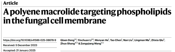 Nature重磅：中国药科大学王宗强团队发现新型抗真菌抗生素，可杀灭多重耐药真菌|真菌|中国药科大学|论文_新浪新闻