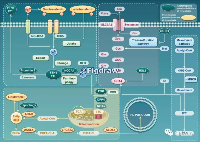 绘图神器Figdraw被引次数超6000次！|模版_新浪新闻