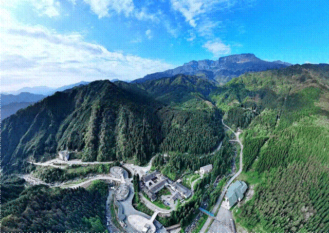 免门票3个月！眉山瓦屋山杜鹃珙桐花“叠”开 徒步秘境“森”呼吸__财经头条