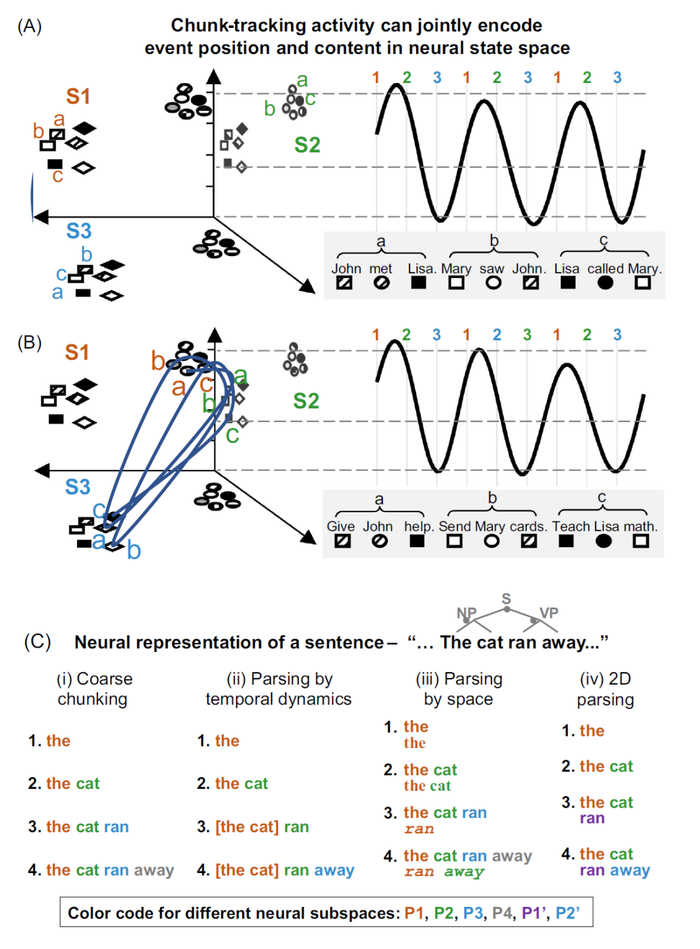 Trends Cogn Sci：浙大丁鼐团队总结基于低频神经振荡的位置编码是大脑加工复杂序列的关键机制__财经头条__新浪财经