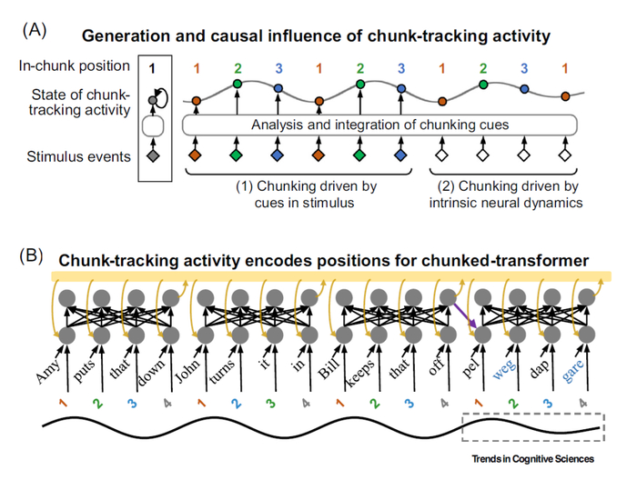 Trends Cogn Sci：浙大丁鼐团队总结基于低频神经振荡的位置编码是大脑加工复杂序列的关键机制__财经头条