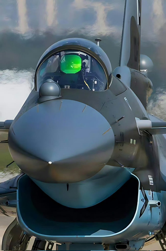 揭秘歼10"猛龙"进化之路：从A到C全维度解析|猛龙|歼10|成都市_新浪新闻