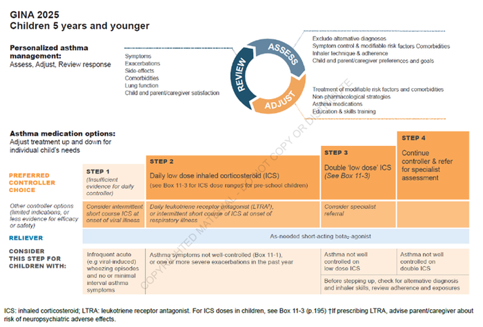 GINA 2025哮喘防治指南重磅发布，15大更新要点解读一文汇总！__财经头条__新浪财经