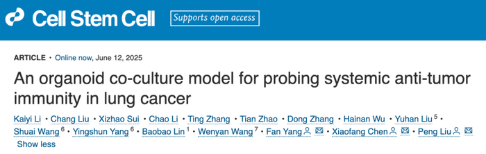Cell Stem Cell：刘鹏/陈晓芳/杨帆团队开发类器官共培养模型，用于探究肺癌的系统性抗肿瘤免疫|肿瘤|杨帆|刘鹏
