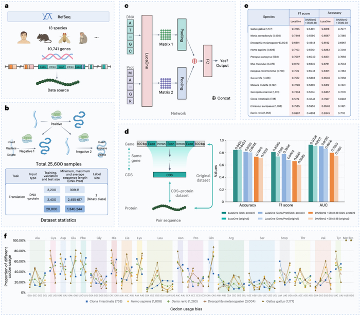 生物学的DeepSeek：阿里云发布LucaOne模型，首次统一DNA/RNA和蛋白质语言，能够理解中心法则|ChatGPT|训练|核酸|生命|序列_新浪新闻