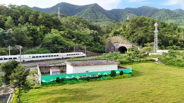 央企助力肇庆“百千万工程”，点亮城乡融合新画卷|肇庆市|广东省|萤火虫|端州|乡村_新浪新闻