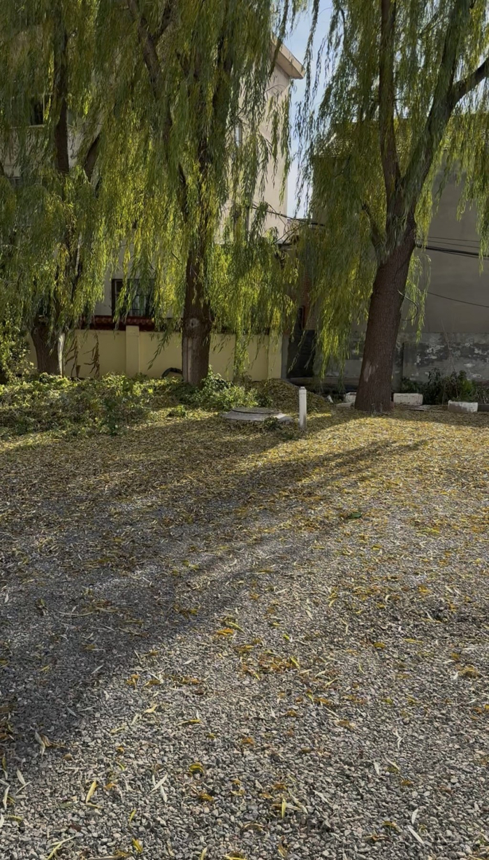 山西“狗咬人被摔死”命案调查：纠纷如何升级，“反杀”是否防卫过度？|长治市|山西省|纠纷_新浪新闻