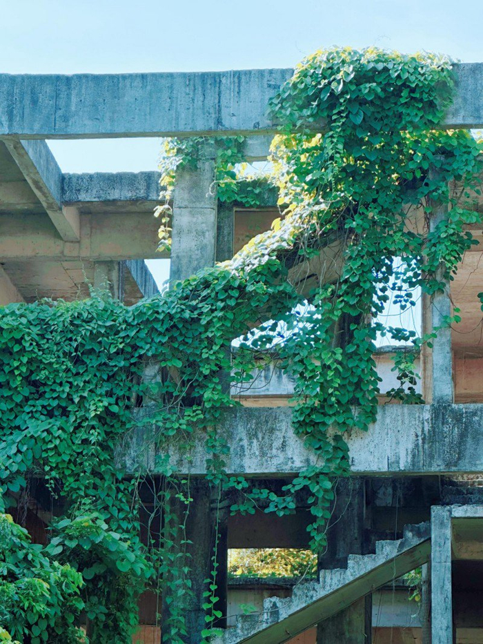 用镜头讲述故事，松典2025摄影大赛即将截稿|摄影|镜头_新浪新闻