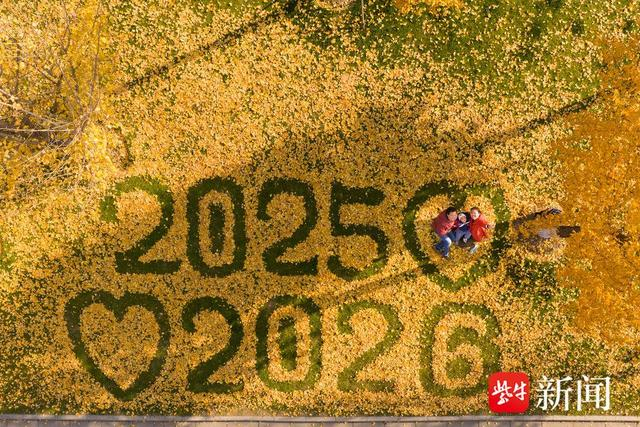 南京城墙下的银杏叶被拼成“2025爱2026” 成网红景点引市民游客排队打卡__财经头条__新浪财经