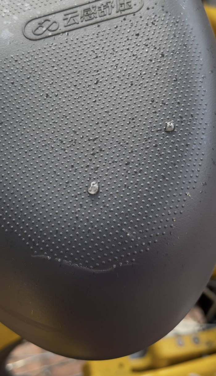 冬日“黏雨”谁在恶作剧？ 专家：成都连日晴天让蚜虫“凌乱”了|蚜虫|成都市|专家