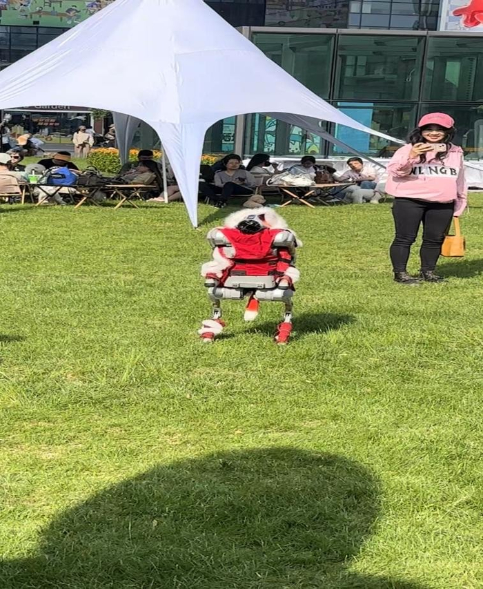 宠贝斯：宠物经济赛道投资价值分析框架__财经头条__新浪财经