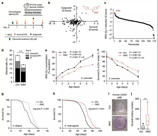 秦始皇寻找的长寿仙草里原来有它！科学家解码又一抗衰老 ...|vivo|细胞|人类|神药|寿命_新浪新闻