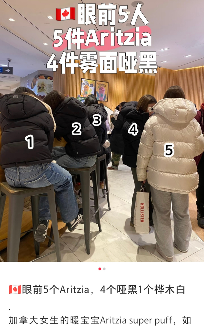 一家门店都没有，“加拿大优衣库”Aritzia在中国被抢着买|加拿大鹅(CanadaGoose)|消费者|中国市场|官网|北美_手机新浪网