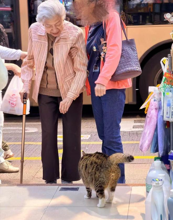 91岁“龙婆”罗兰被TVB除名，理由是年纪太大，一年1.5万港币太低|香港|张国强|子女|未婚|高龄_新浪娱乐_新浪新闻