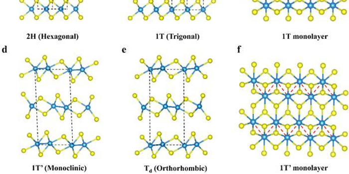 科学家发现一种潜在的拓扑超导体材料——层状2M相硫化钨_手机新浪网