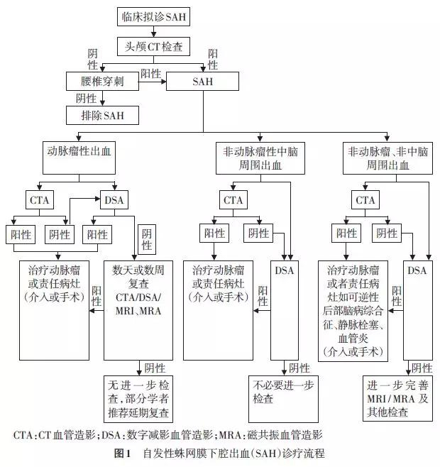 蛛网膜下腔出血诊治指南|动脉瘤|癫痫_新浪新闻