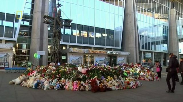 故障OR恐怖袭击？回顾科加雷姆航空7K9268航班2015.10.31西奈空难|沙姆沙伊赫|坠机_新浪新闻