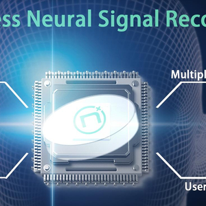 融资丨国内脑机接口初创公司「NeuraMatrix」获数百万美元Pre-A轮融资，经纬中国领投_手机新浪网