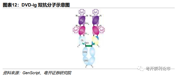 粤开医药深度 | 双抗深度报告（一）：双抗概念、分类及技术平台梳理_手机新浪网