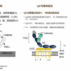 美迪西助力 | 济民可信lgE抗体药物JYB1904获批临床_手机新浪网