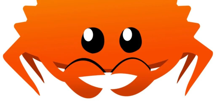 编写完10万行代码，我发了篇长文吐槽Rust_手机新浪网