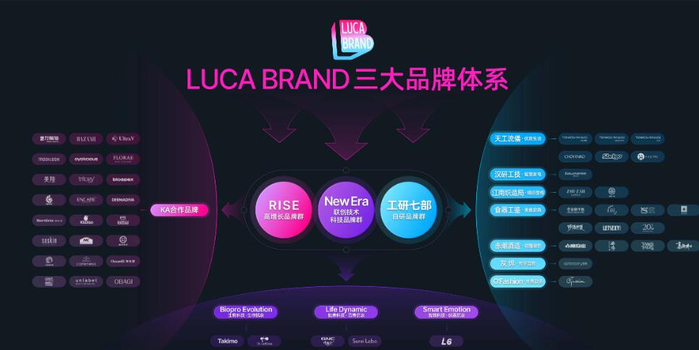 洋葱集团LUCA BRAND品牌群战略调整：后疫情时代下的消费生态演进_手机新浪网
