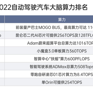 2022自动驾驶汽车大脑算力大排名，1000TOPS算力时代来临_手机新浪网