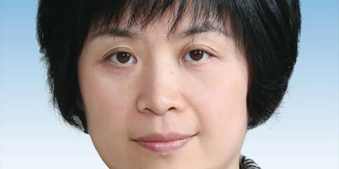 新一届上海市政府领导班子,三位女副市长 手机新浪网