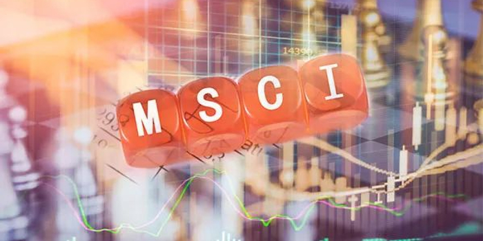 MSCI名单大调整，新纳入这些A股，本月28日生效…影响几何？来看解读_手机新浪网