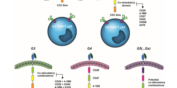 聊一聊CAR-T细胞中的共刺激域_手机新浪网