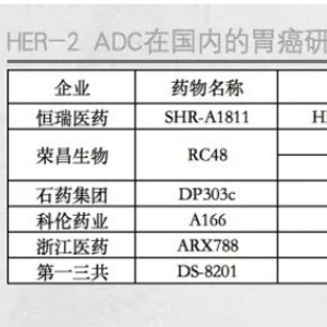 HER2靶点蓄势待发，DS-8201与国产ADC共舞_手机新浪网