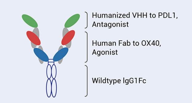 【AACR 2023】免疫检查点双抗潜力几何？_手机新浪网