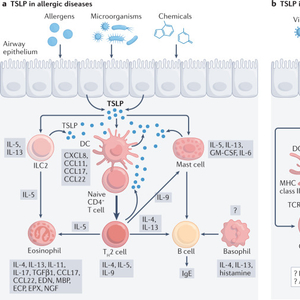 TSLP单抗药物哮喘赛道破局——适用于广泛患者，无表型/生物标志物限制优势明显！_手机新浪网