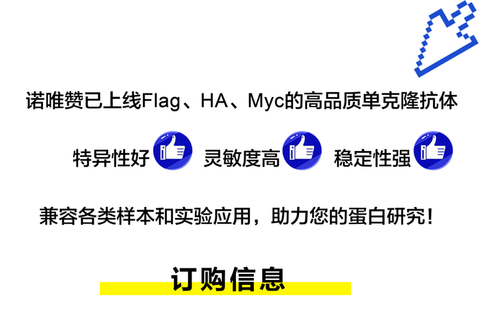 干货 | Flag还是HA？一文搞定你的表位标签选择困难症！_手机新浪网