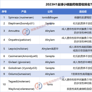 全球小核酸药物营收Top10（2023H1）_手机新浪网