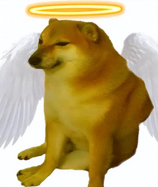 网络知名柴犬Cheems去世，网友：原来用的表情包是它_手机新浪网