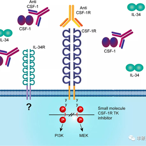 悲观者正确，乐观者成功，狩猎十亿美元分子_手机新浪网