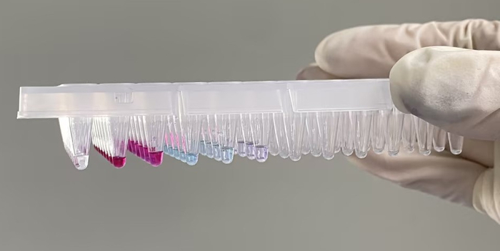 干货丨cDNA不盲投，一文理清qPCR模板投入的基本操作|基因|DNA|基因_手机新浪网