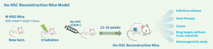 M-NSG Pro系列 | 这些小鼠，让免疫重建更进一步_手机新浪网