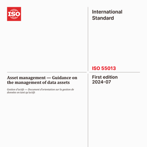 全球首个数据资产管理国际标准ISO 55013正式发布，标准召集人杨晓峰：将在广州南沙优先落地_手机新浪网