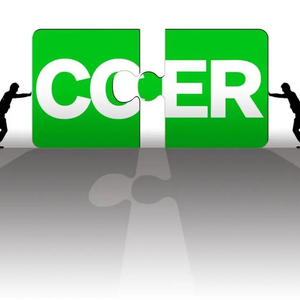 首批CCER项目公示（持续更新中）_手机新浪网