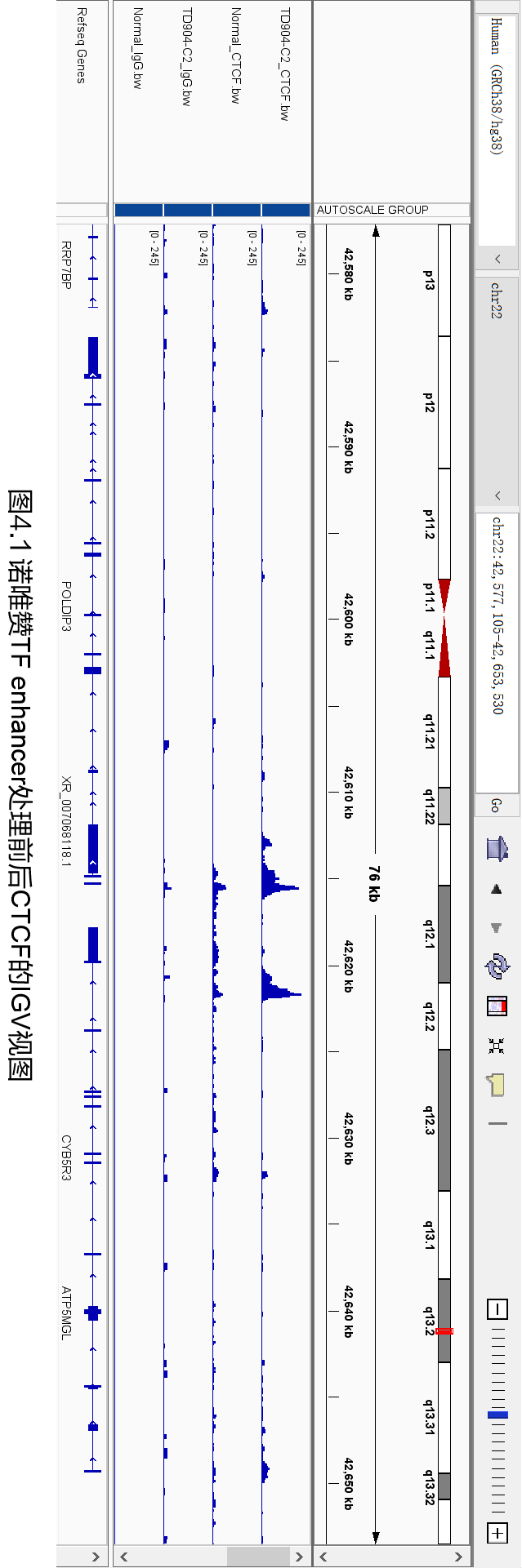 试用 | CUT&Tag全新 TF enhancer模块，精准狙击转录因子！_手机新浪网