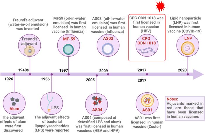 技术分享|疫苗佐剂之 CpG ODN：特性、研究进展与应用全解析_手机新浪网