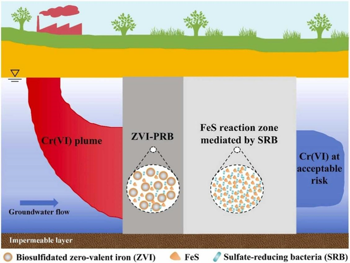 【专家视角】 吉林大学赵勇胜团队JHM：“零价铁PRB-生物FeS还原反应带”修复模式