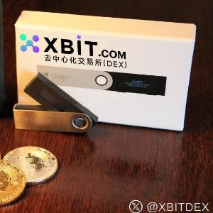 Dex交易所app与市场共振：XBIT见证BTC再破10万_手机新浪网