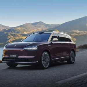 赛力斯(601127.SH)2025年上半年营收624.02亿元 净利润29.41亿元_手机新浪网