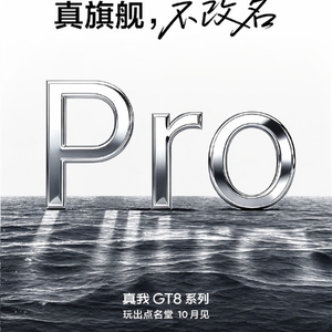 呛声小米17？真我副总：真旗舰，不改名！真我GT8系列10月发布_手机新浪网