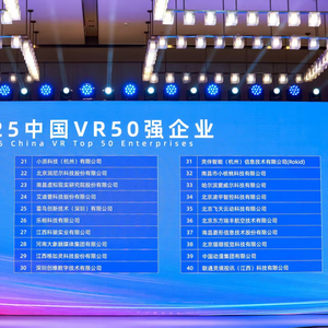 “2025中国VR50强企业”发布 歌尔股份、京东方、宏达通讯位居前三|北京市|京东方|销售额|歌尔股份|虚拟现实_手机新浪网