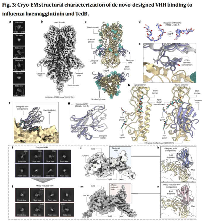 Nature | RFdiffusion: David Baker 团队打造的原子级抗体从头设计新范式__财经头条__新浪财经